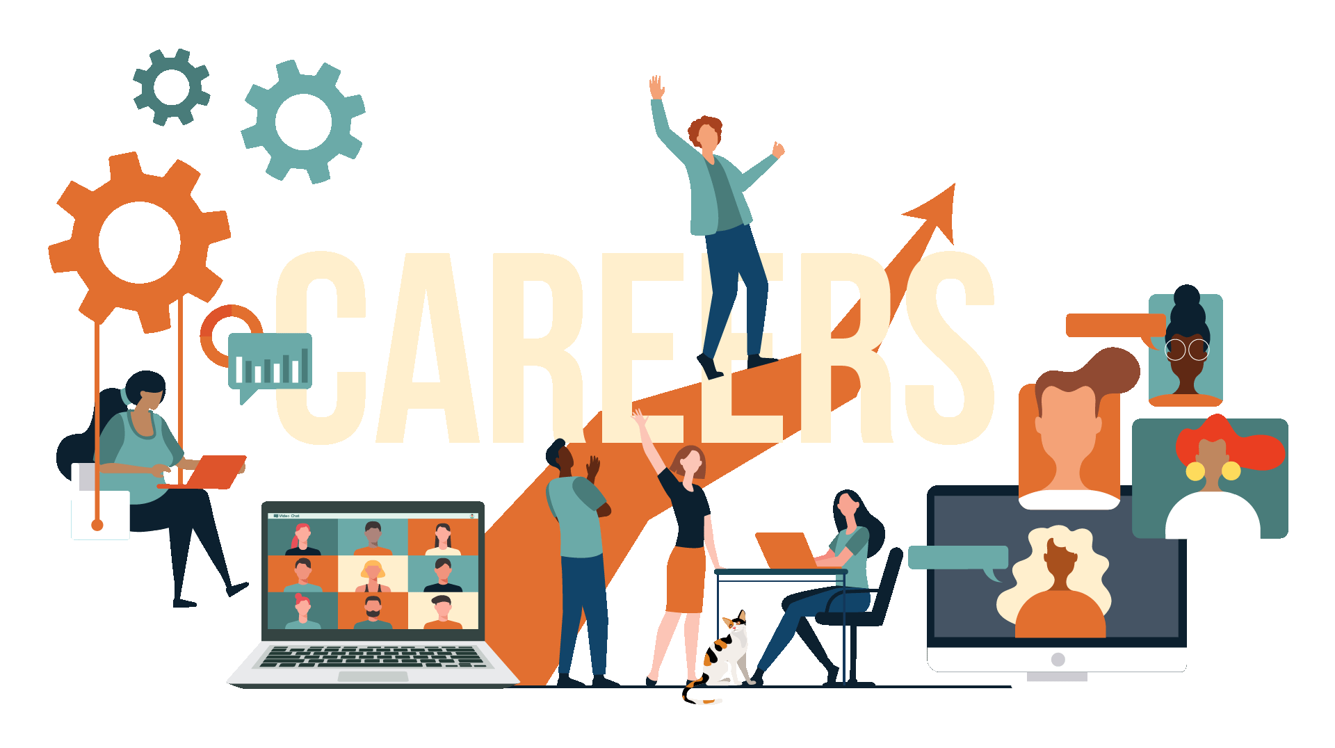 Careers - Willson International